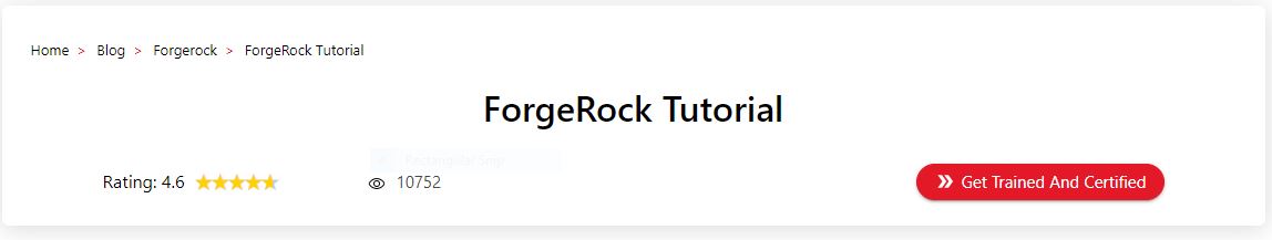 What is ForgeRock Access Management? - Tech Focus Pro Best Guide 2024